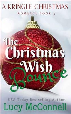 The Christmas Wish Twist by Lucy McConnell - NextPageReviews.com